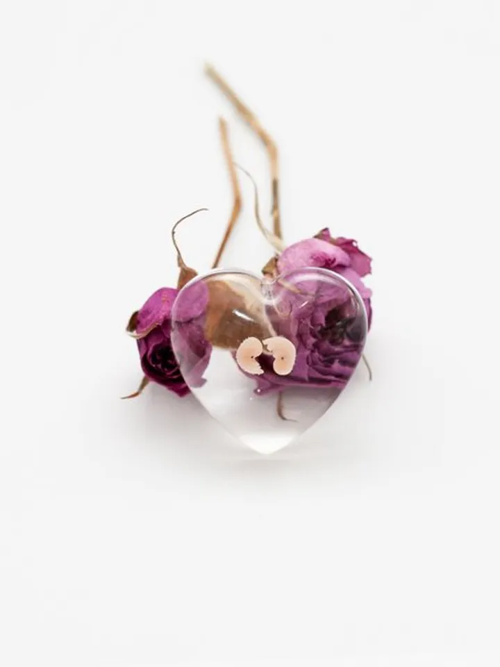 Twins Embryo 5-6 weeks, 5 weeks pregnant, Sculpture cast in resin $20. ...