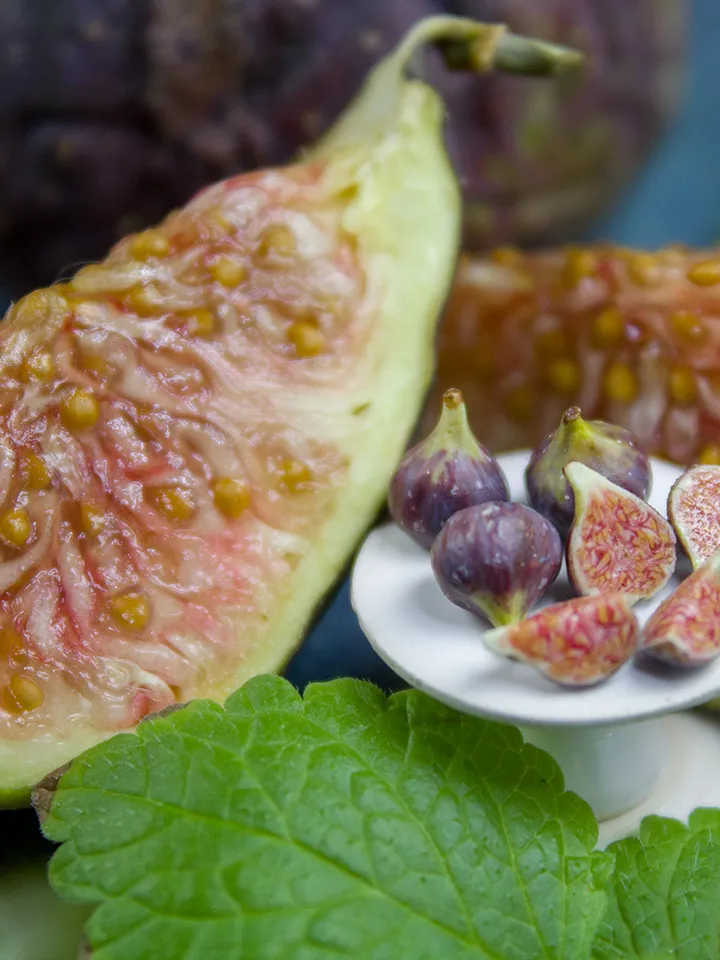 TUTORIAL Miniature fig cane with polymer clay $9.90 | Buy online with ...