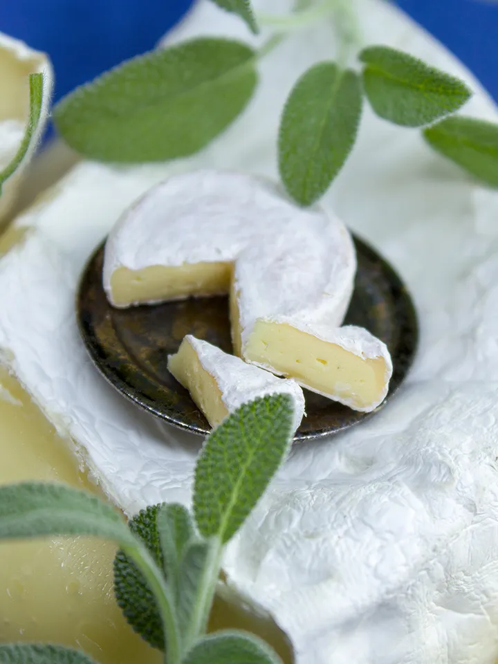 TUTORIAL Miniature Camembert cheese with polymer clay $4.05 | Buy ...