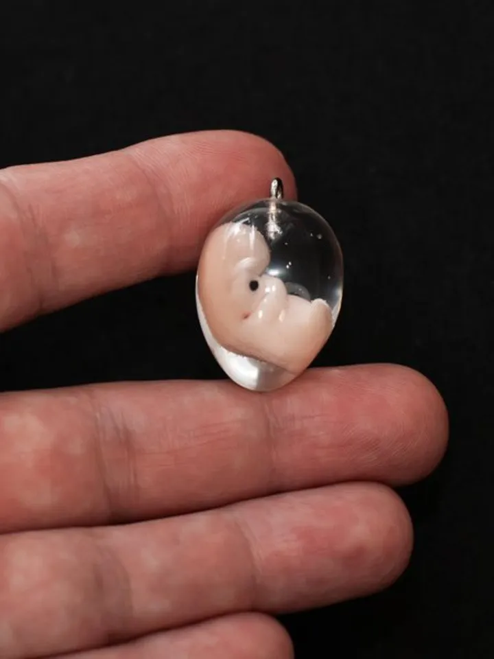 Embryo 7 weeks, 7 weeks pregnant, Sculpture cast in resin, charm ...