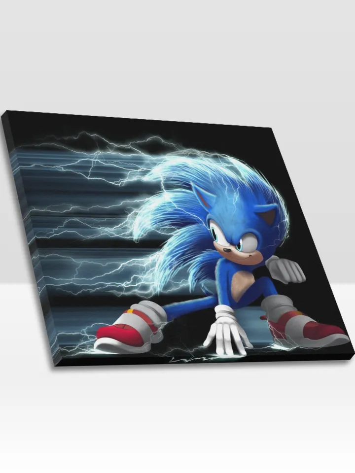 Sonic Frame Canvas, Wall Art Home Decor $24.00 | Buy online with delivery