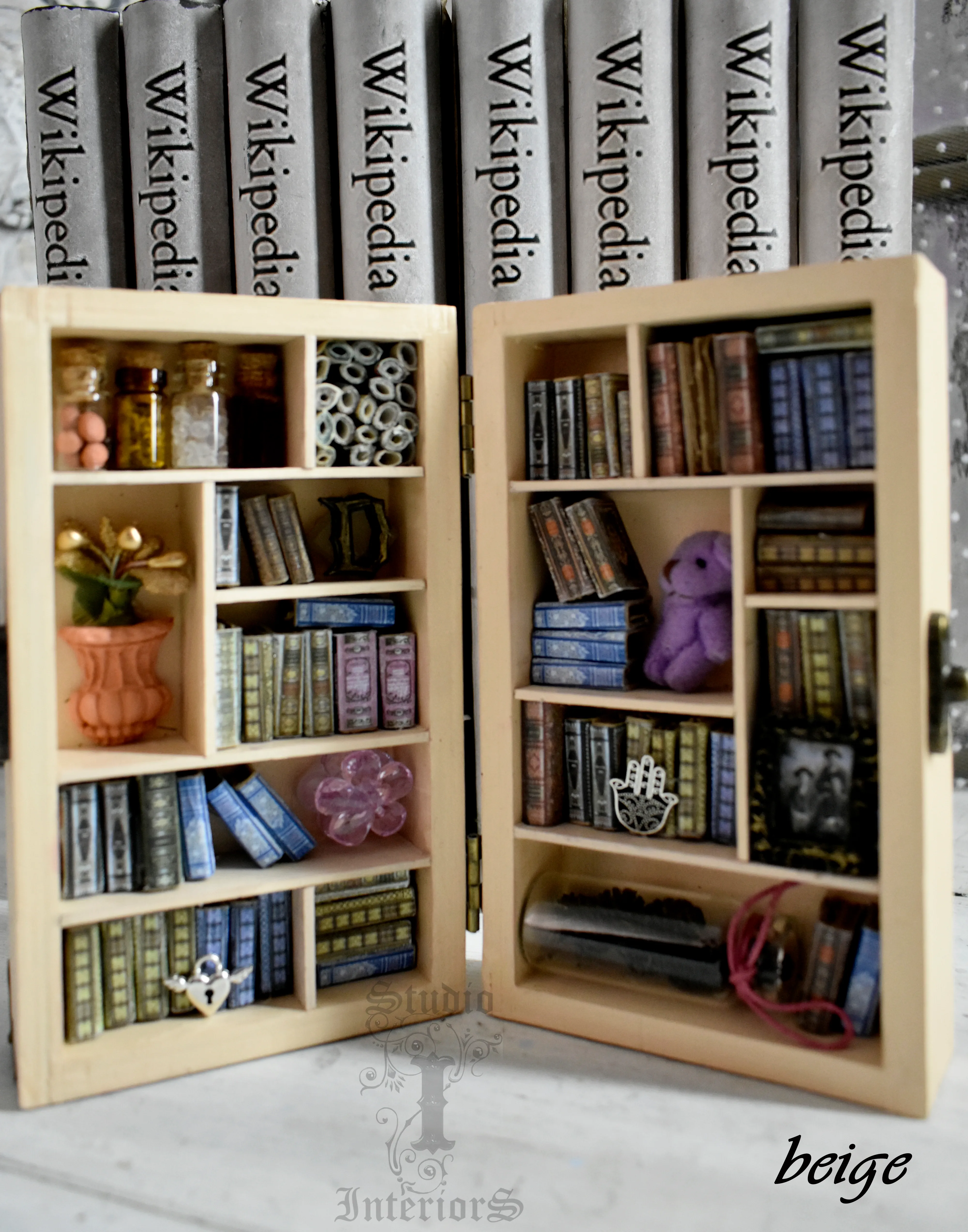 A miniature library with minibooks the bookshelves in the living room ...