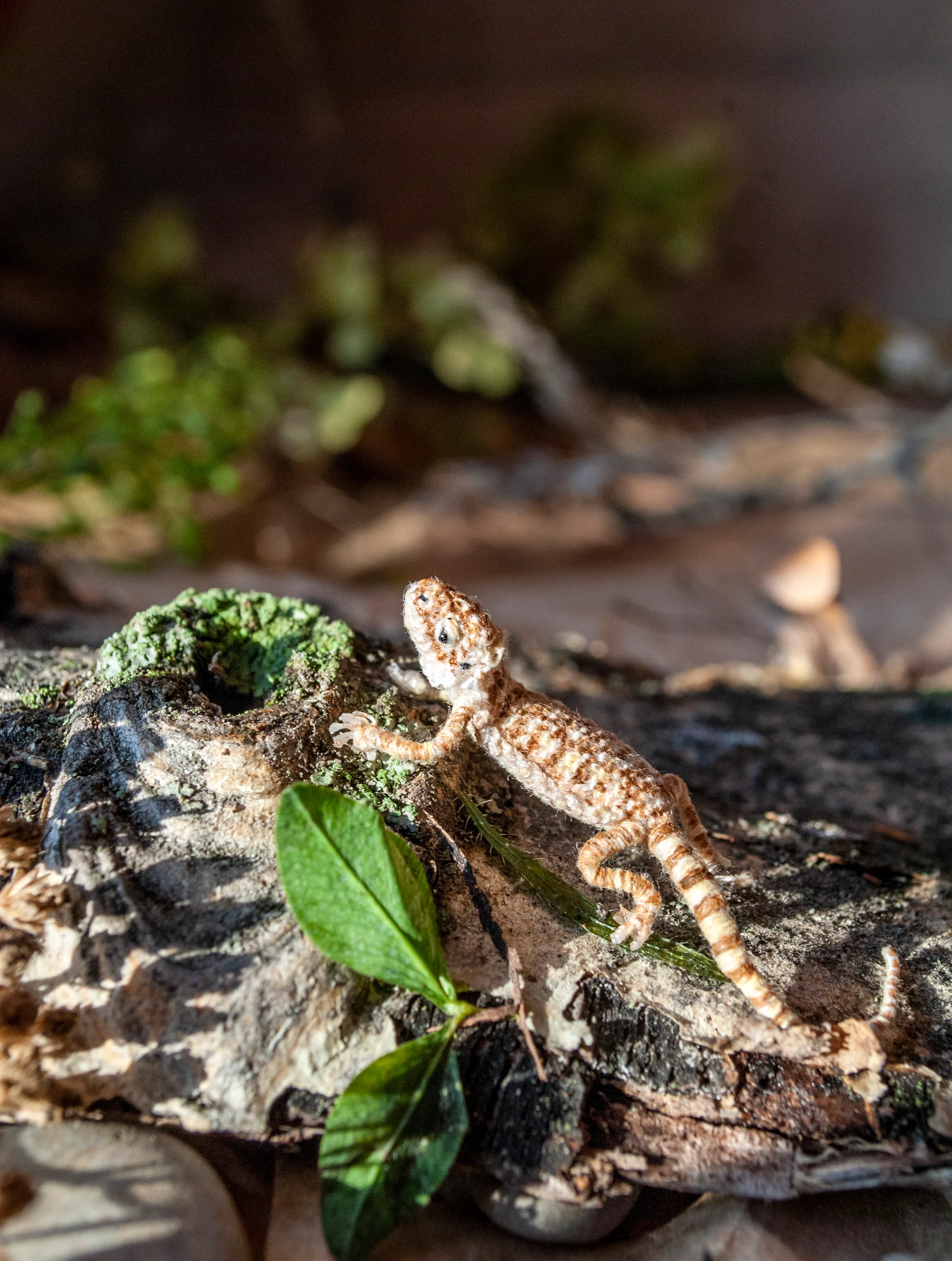 Bearded Dragon miniature, Tiny teeny handmade reptile lizard pet, Agama ...