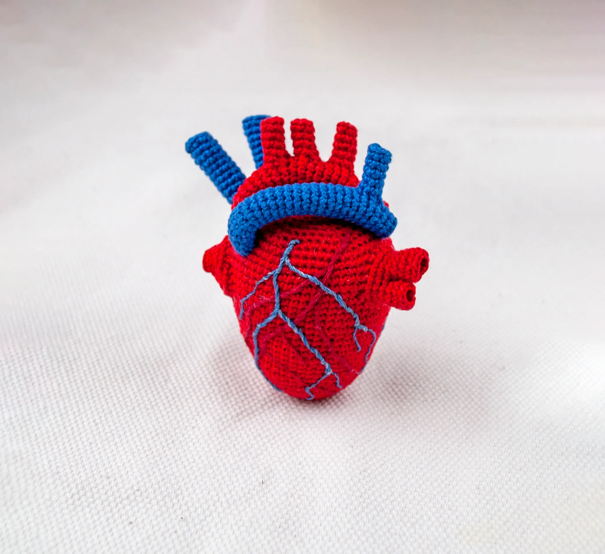 Anatomical human heart crocheted, Realistic heart Gift for a doctor ...