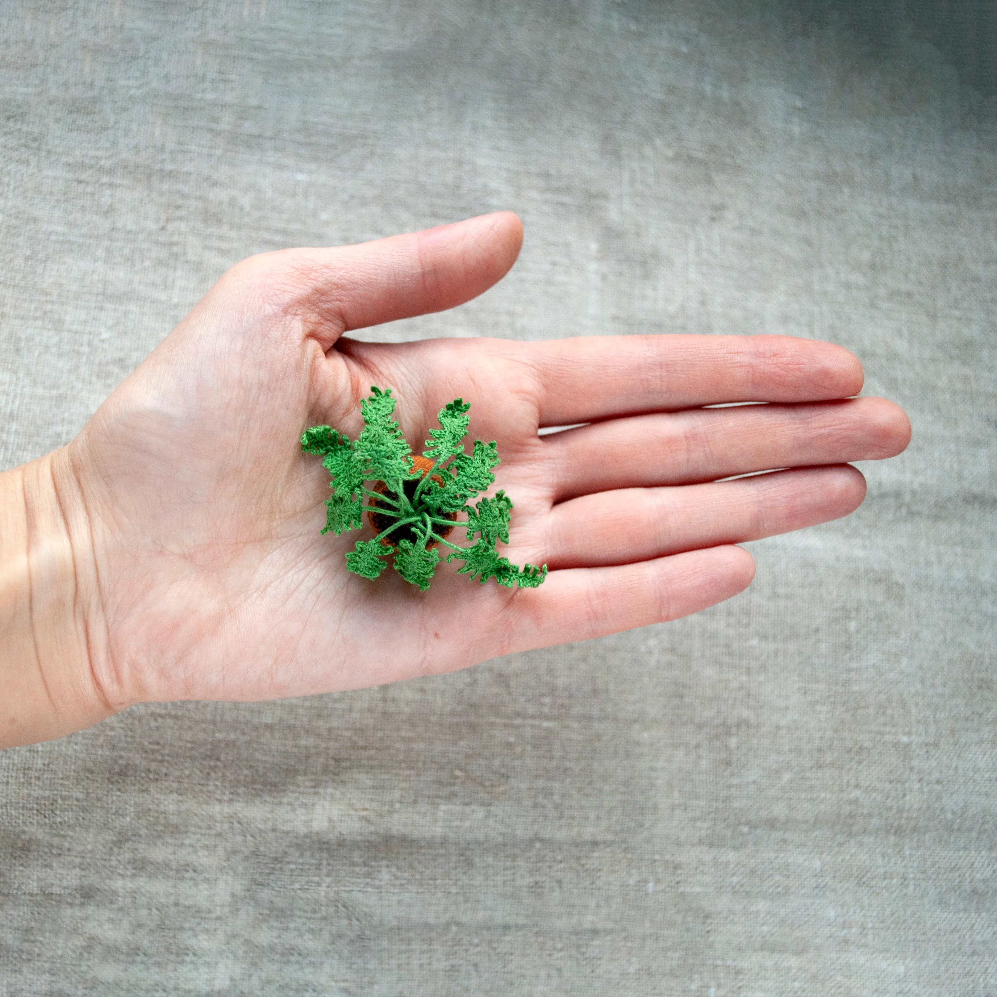 Miniature FERN in a pot, Evergreen plant for Fairy Garden, Artificial ...