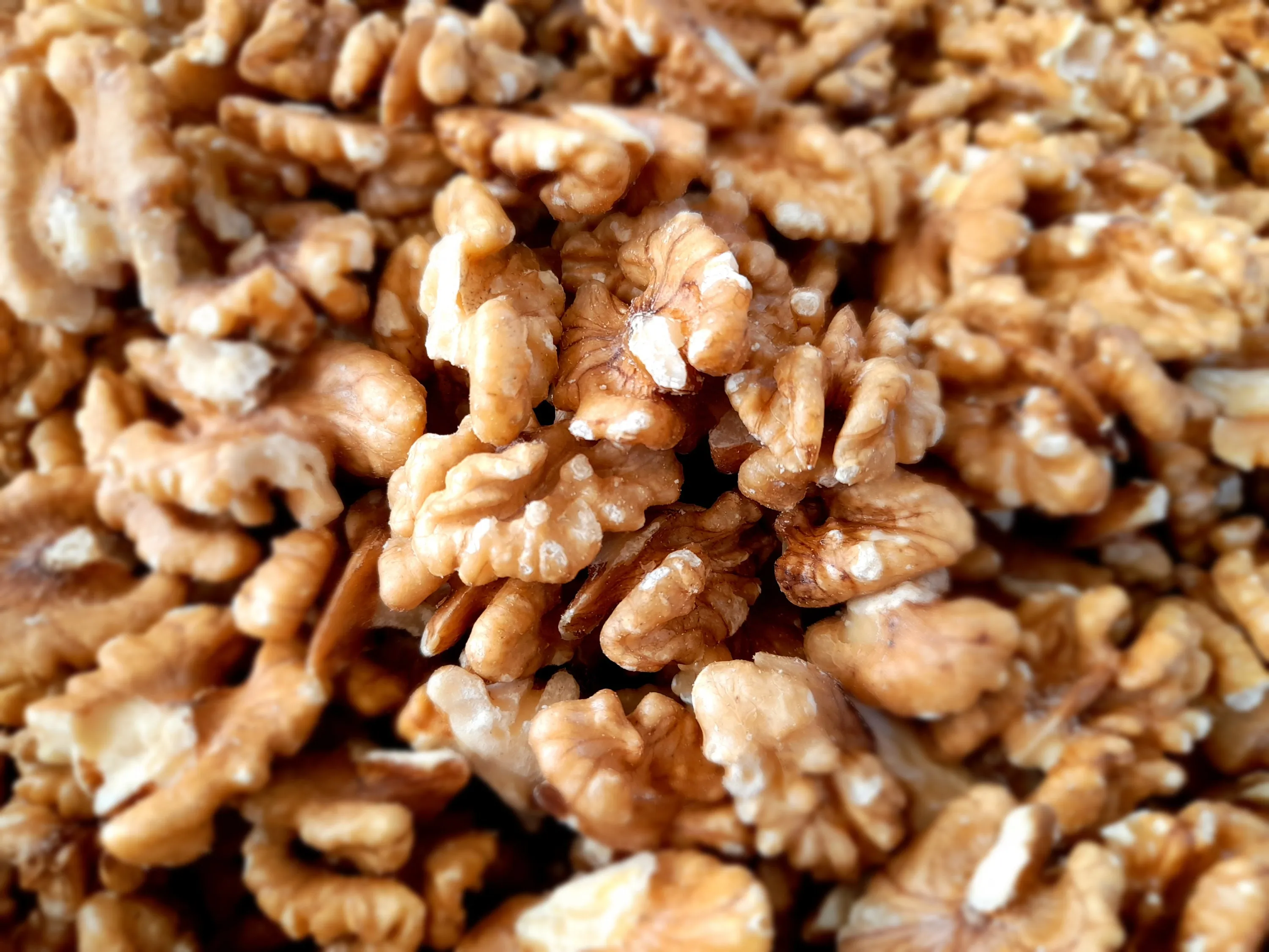 Organic Shelled Walnuts | Natural Walnut Harvest 2022 TRY 1,090.00 ...