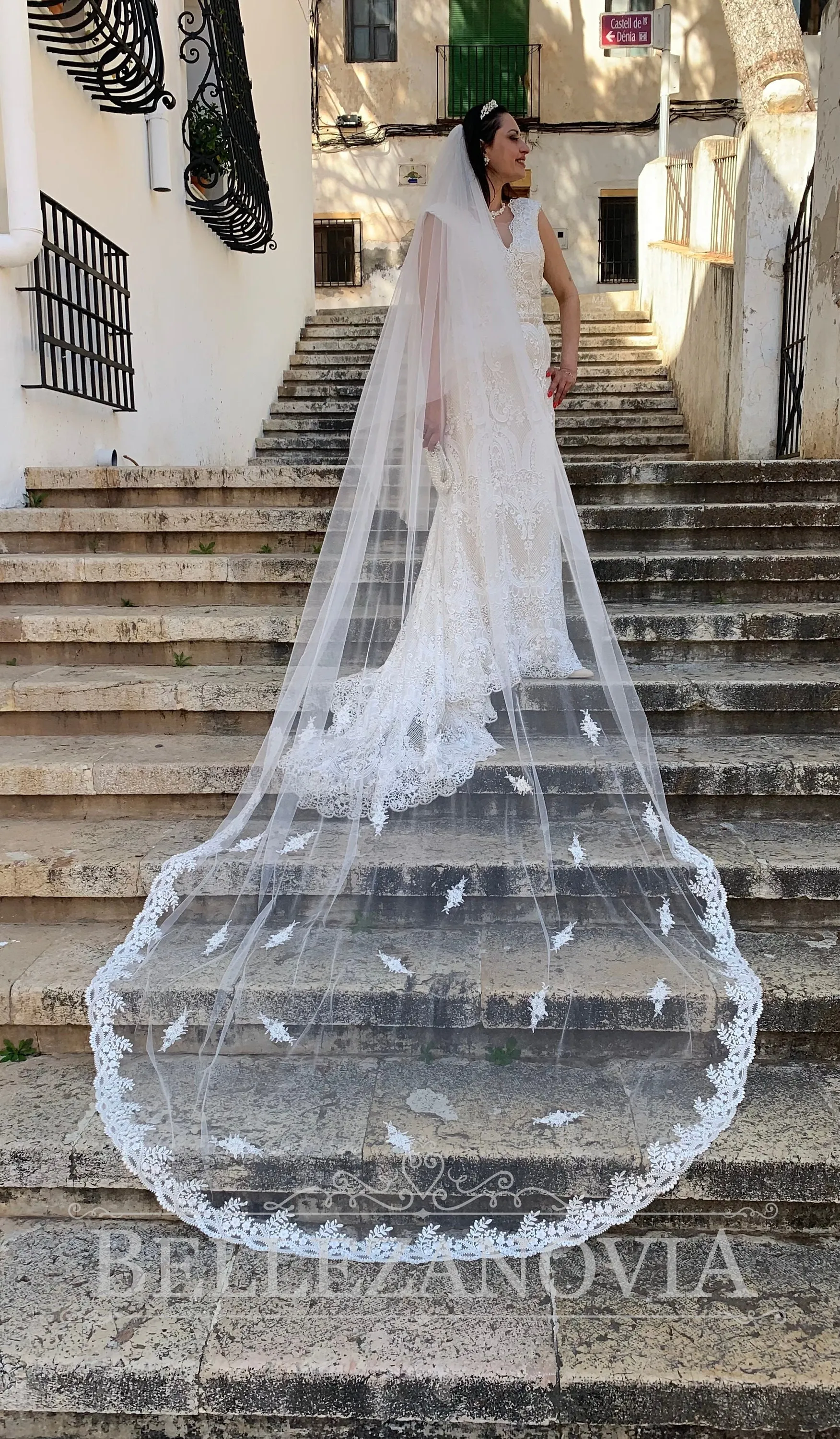 Blusher Elegant Bridal Veil with Leaf Lace Applique Cathedral Wedding ...