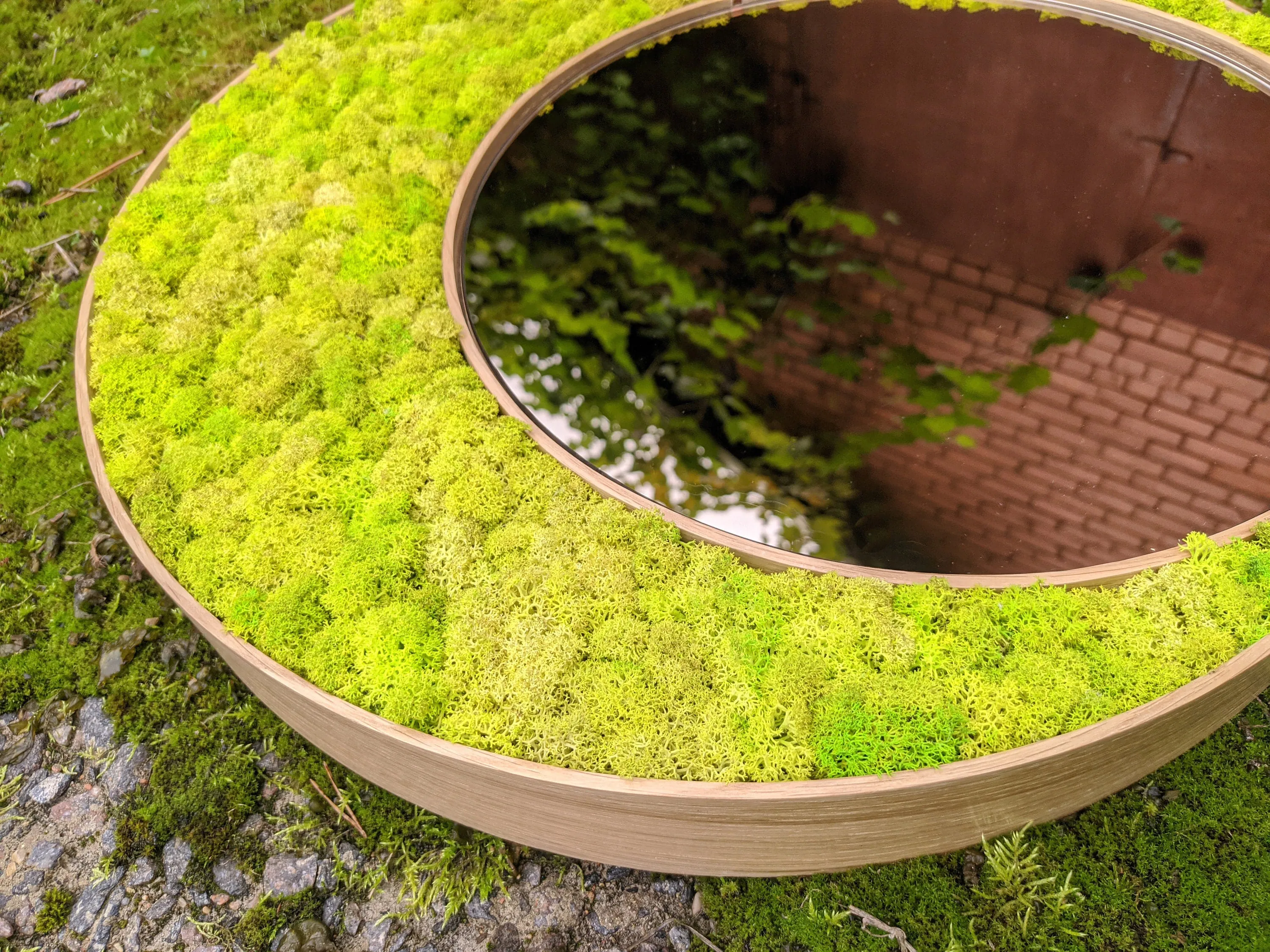 Moss wall art | Round bronze mirror | Circle moss mirror in wood oak ...