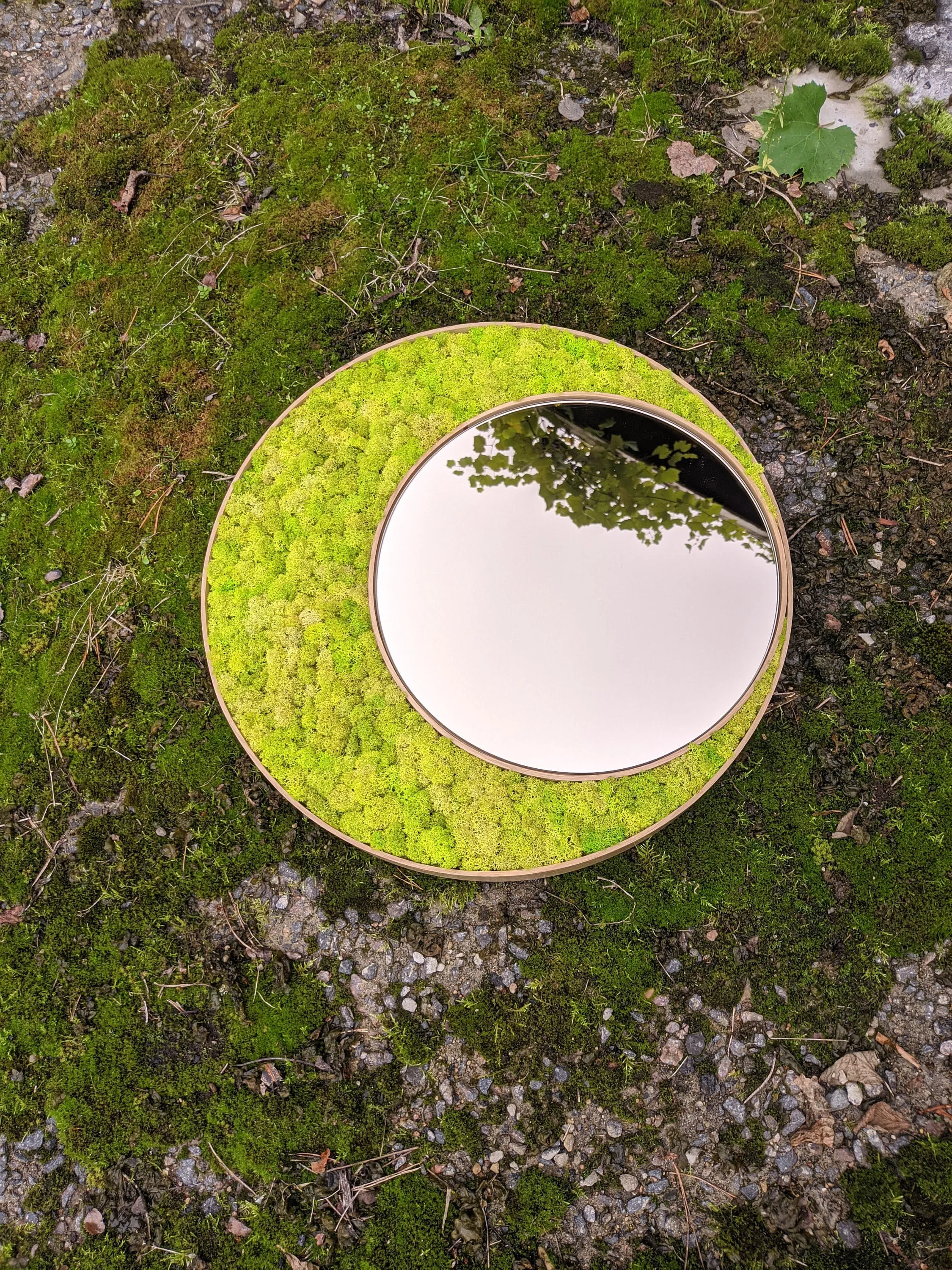 Moss wall art | Round bronze mirror | Circle moss mirror in wood oak ...